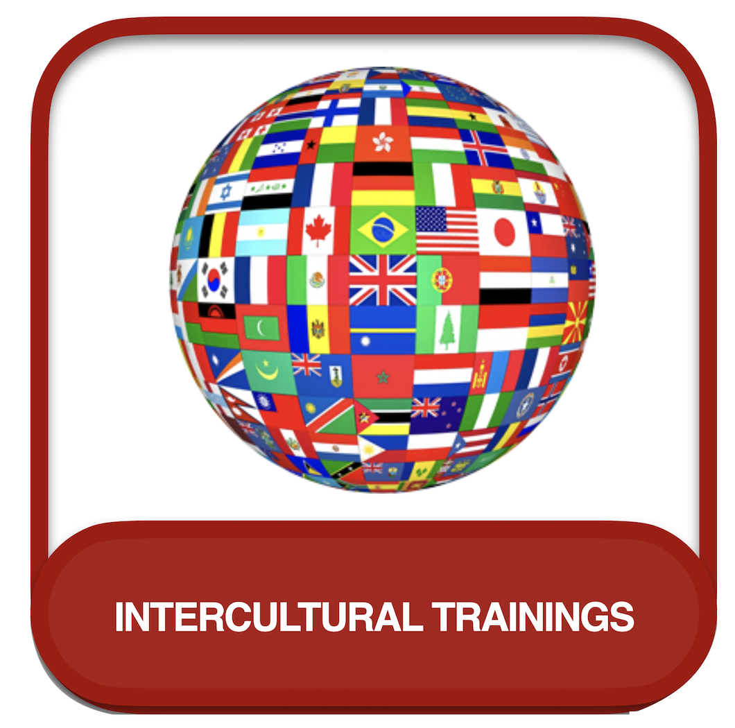 Intercultural Training Program